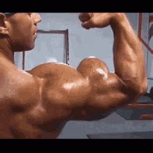 Biceps S Tenor