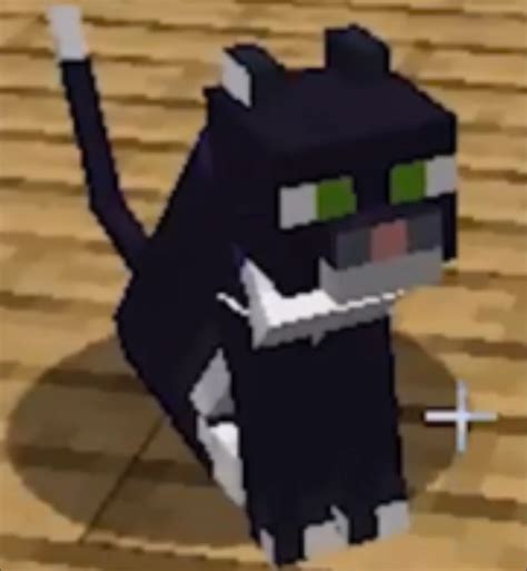 Tuxedo Cat Minecraft