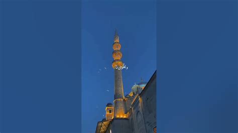 🤍💫 Love Muhhammad Shorts Trending Allah Muslim Islam Islam Islamic Naat Arabic Youtube