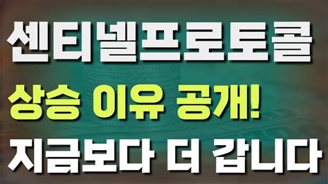 센티넬프로토콜 상승 이유 공개지금보다 더 갑니다 Youtube