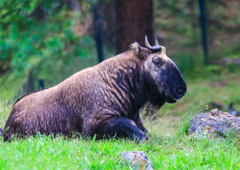Bhutan 4 Day Itinerary How To Plan 4 Days In Bhutan