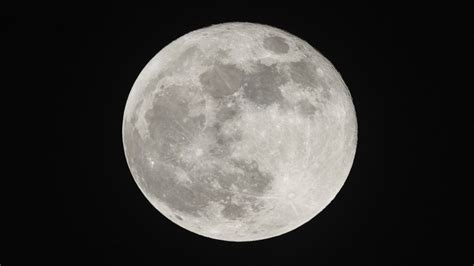 Iluv Announces New 3rd Gen Ipod Shuffle Cases Slashgear