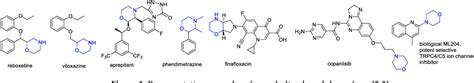 Figure 1 From Morpholine Radical In The Electrochemical Reaction With