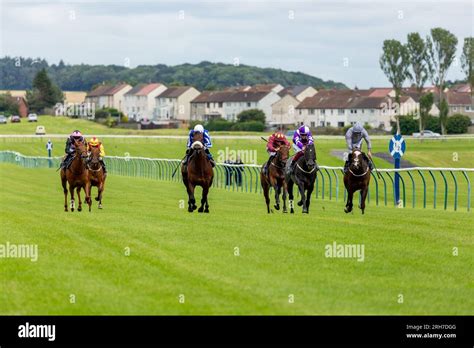 Race Horses Running Along The Flat Turf Track At Ayr Racecourse Ayr