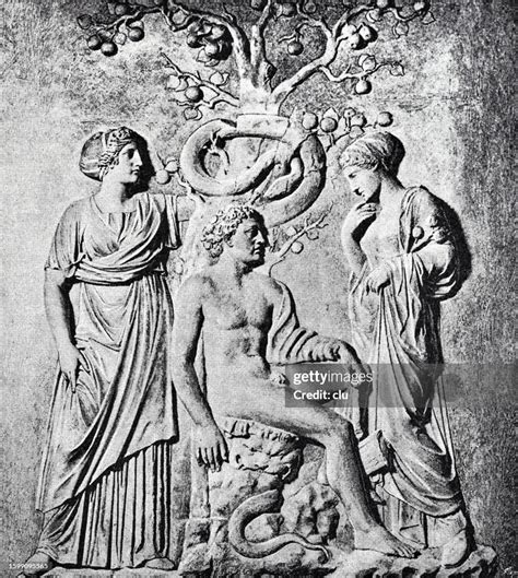 Hercules In The Garden Of The Hesperides Nymphs Of Greek Mythology