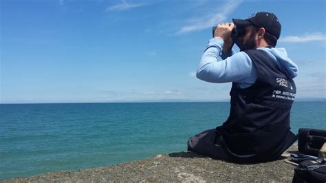 Sea Watch Foundation Citizen Science Cetacean Research Tourists And Beyond