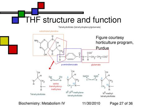 Ppt Cofactors Concluded Powerpoint Presentation Free Download Id