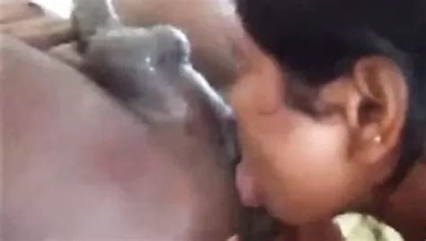 Tamil Kello Sinhala Kollo Part 1 Free Porn 3d Xhamster