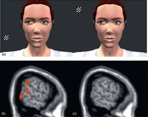 13 Social cognition Deep Learning Bible N Machine Learning for Neuroscience 한글