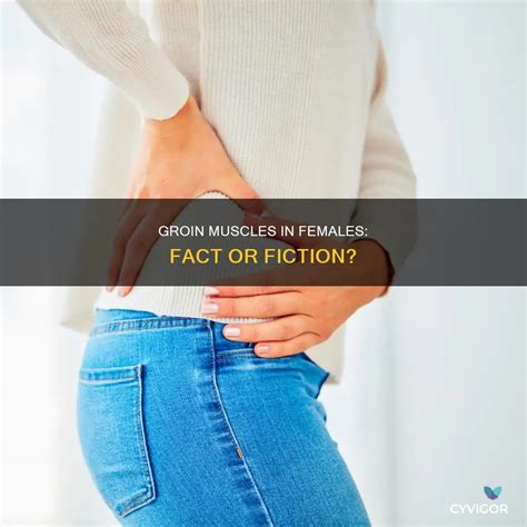 Groin Muscles In Females Fact Or Fiction Cyvigor