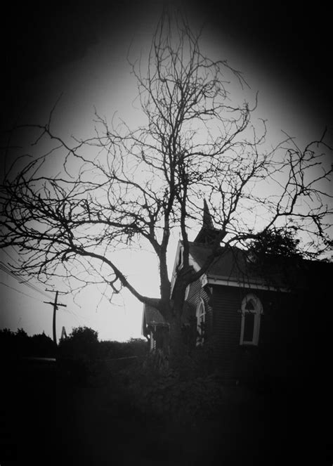 Stefan Roberts Christchurch Canterbury New Zealand Worldwide Pinhole Photography Day 2025