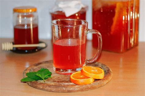 Kombucha Gljiva Scoby