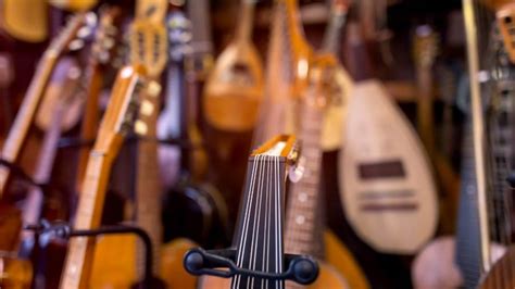 Different Types Of Stringed Musical Instruments Guide