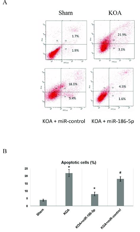 A Flow Cytometry Images Showing Percentage Of Apoptotic Cells In Download Scientific Diagram