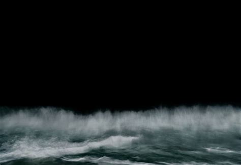 Nadav Kander After Dark Flowers Gallery