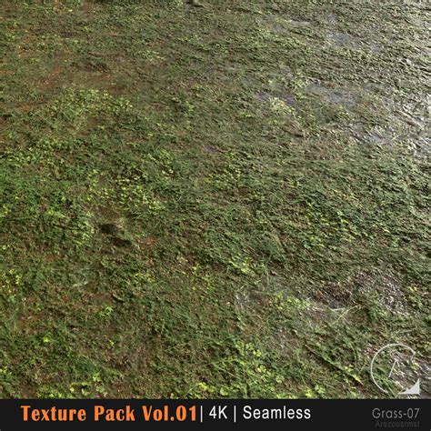 Grass Texture Pack Vol1 Texture Cgtrader