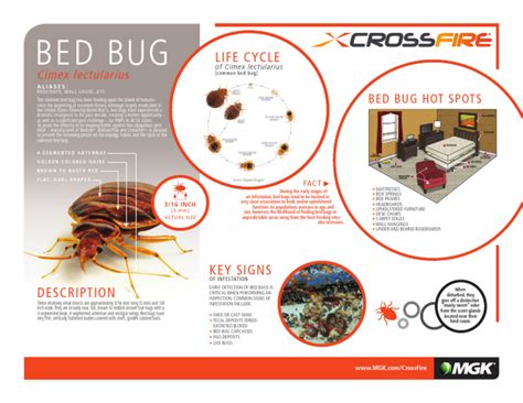 20 Mgk 0256 Updated Bed Bug Poster 85x11 Pdf Bed Insects And Humans