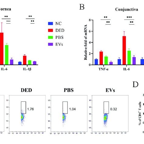Topical Msc Evs Reduced The Level Of Ocular Surface Inflammation And