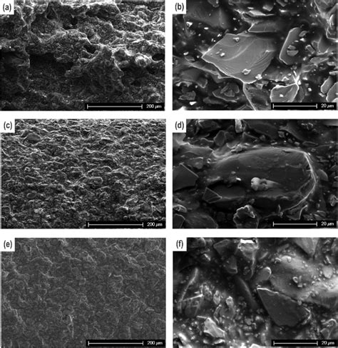 Sem Micrographs Showing The Morphology Of The Download Scientific