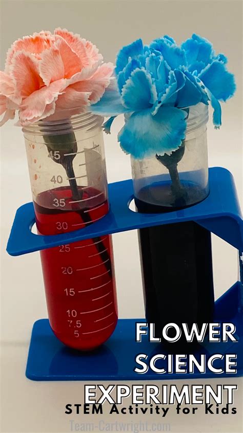 470 Preschool Stem Activities Ideas Stem Activities Preschool Stem
