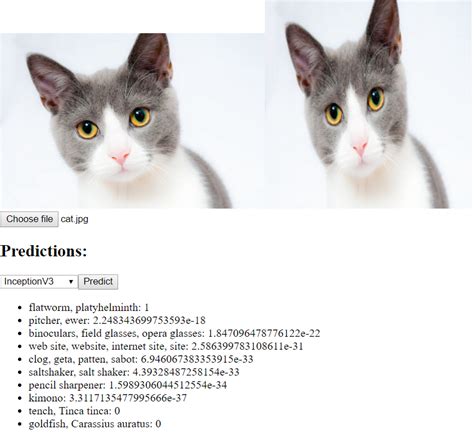 Deep Learning Incorrect Predictions When Using The Keras Pre Trained Inceptionv3 Xception