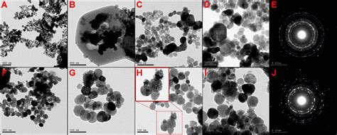 High Resolution Transmission Electron Micrographs Of Np Ii A D And