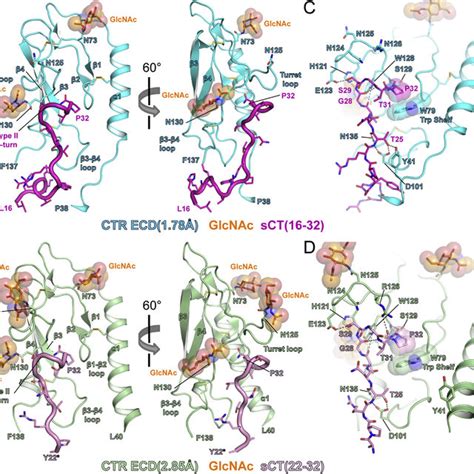 Peptide Ligand Affinity Measured By Fp Assay Download Scientific Diagram