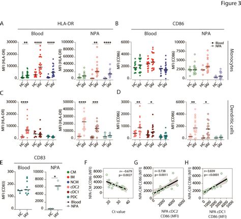 Intermediate Monocytes And Cdcs In The Nasopharynx Are More Mature In Iav Download Scientific