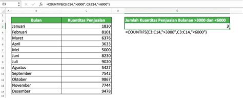 Cara Menghitung Rumus Countif Excel Coding Studio