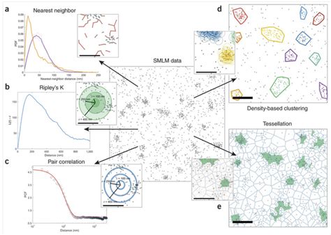 Turning Single Molecule Localization Microscopy Into A Quantitative