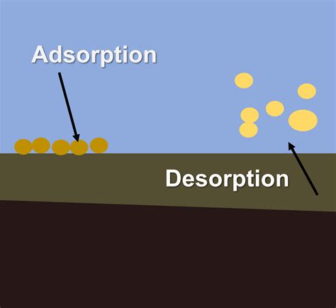 Desorption Là Gì Tìm Hiểu Các Ví Dụ Câu Và Cách Sử Dụng Từ Desorption