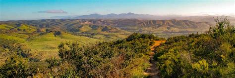 Lashae Sharp Collins Digital Democracy Calmatters