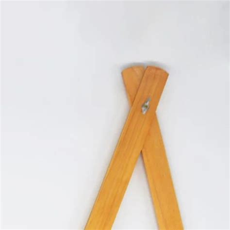 Maxbell Teaching Compass Demonstration Compass For Teacher Aids