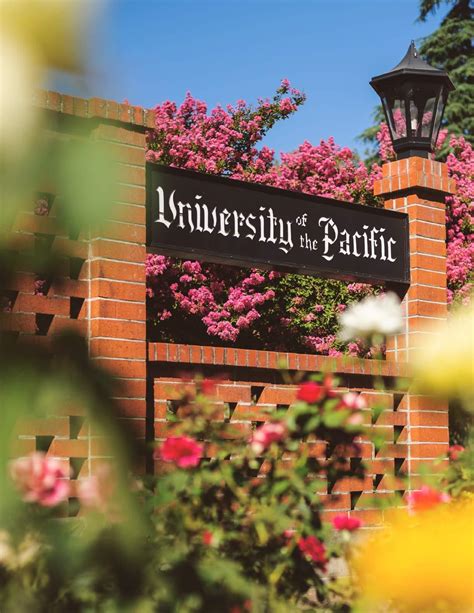 Prospectus Title Ix Coordinator By University Of The Pacific Issuu