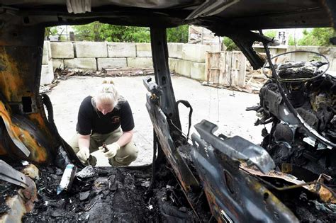 Photos Of Accelerant Detection Canine Training At The New Haven