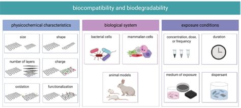 Schematic Depiction Of Various Factors That Influence The Download