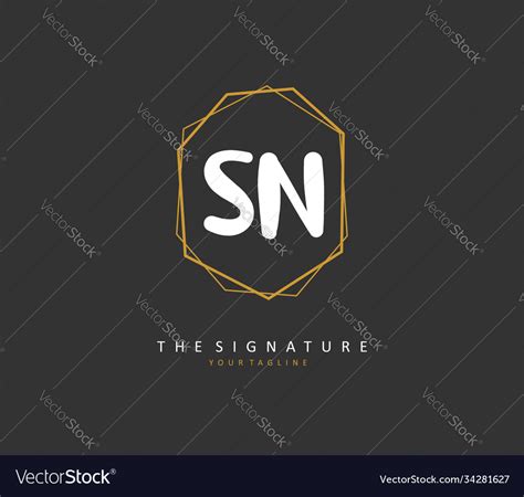 S N Sn Initial Letter Handwriting And Signature Vector Image