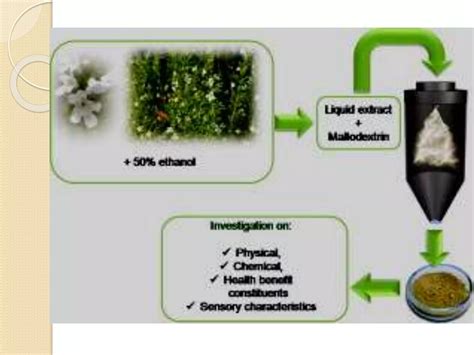 Extraction Isolation And Identification Lect 1 Pptx Herbs And