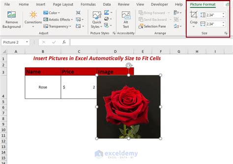 Insert Pictures In Excel Automatically Size To Fit Cells Exceldemy