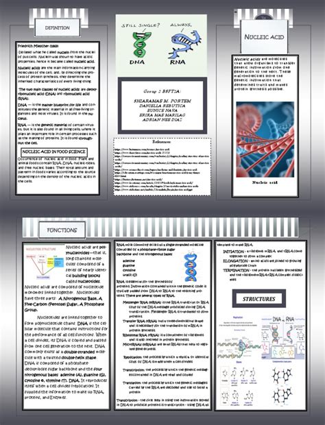 Nuceic Acid Project Pdf Rna Nucleic Acids
