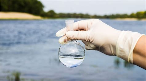 Edaphic Factor Definition And Examples Biology Online Dictionary