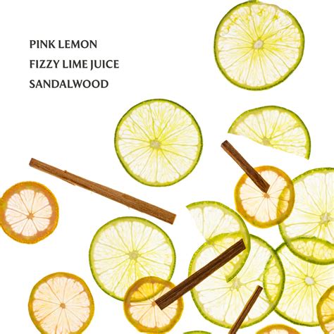 Lemon Lime Hand Sanitizer Falcon Creek Boutique