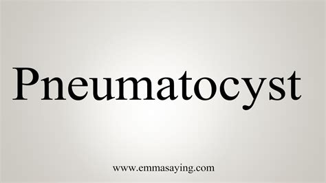 How To Say Pneumatocyst Youtube