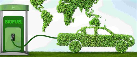 Understanding Acid Esterification For Producing Bio Diesel