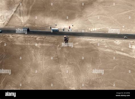 Unesco Heritage Nazca Lines In Peru Hand And Tree At The Observation