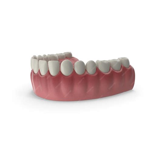 Premium Photo Lower Teeth Medical Model With Dental Implant Jaw With
