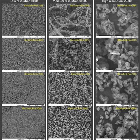 Sem Micrographs Of Bleached Cellulose Nanofibrils With Different Solids Download Scientific