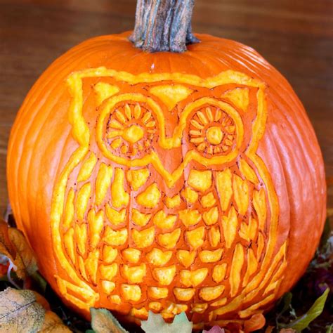 Owl Pumpkin Carving Diy Woodland Owl Pumpkin Carving Free Stencil