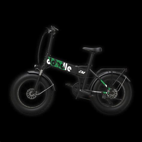Doodle Battery Operated E Cycle For Urban Traffic Gender Male At Best Price In Hyderabad