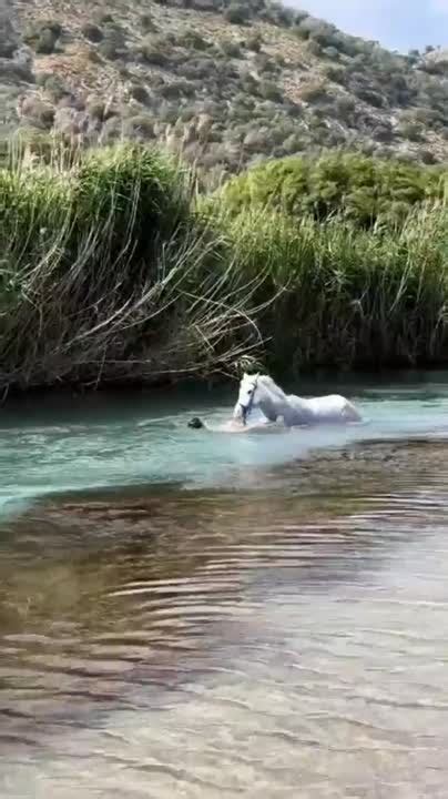 Wow Andi Martin Guise